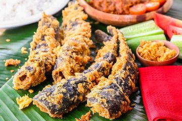 Ikan Lele Dumbo dan 4 Lele yang Terkenal di Nusantara