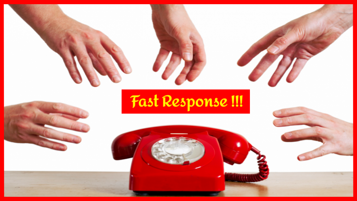 Fast Respon - HOBI TERNAK