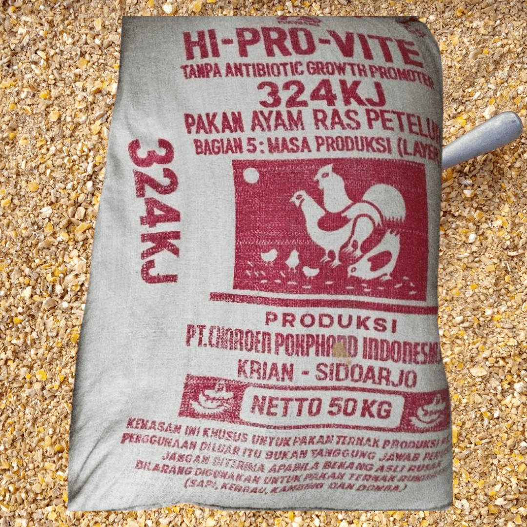 Ringkasan Cara Beternak Ayam Petelur untuk Pemula
